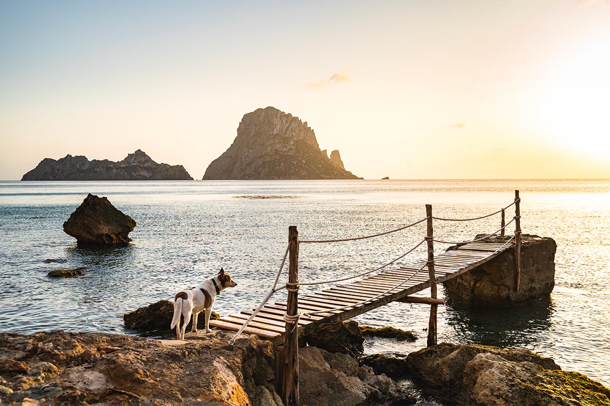 Winter in Ibiza - Everything you need to know about Ibiza out of season!